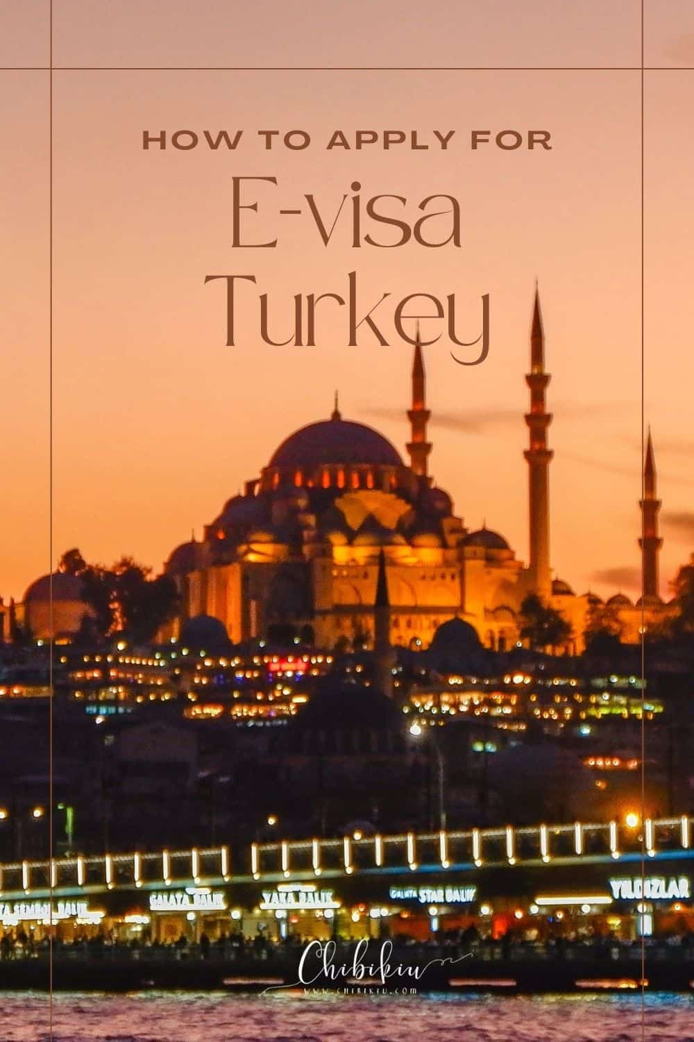 How to apply for E-visa Turkey - Chibikiu