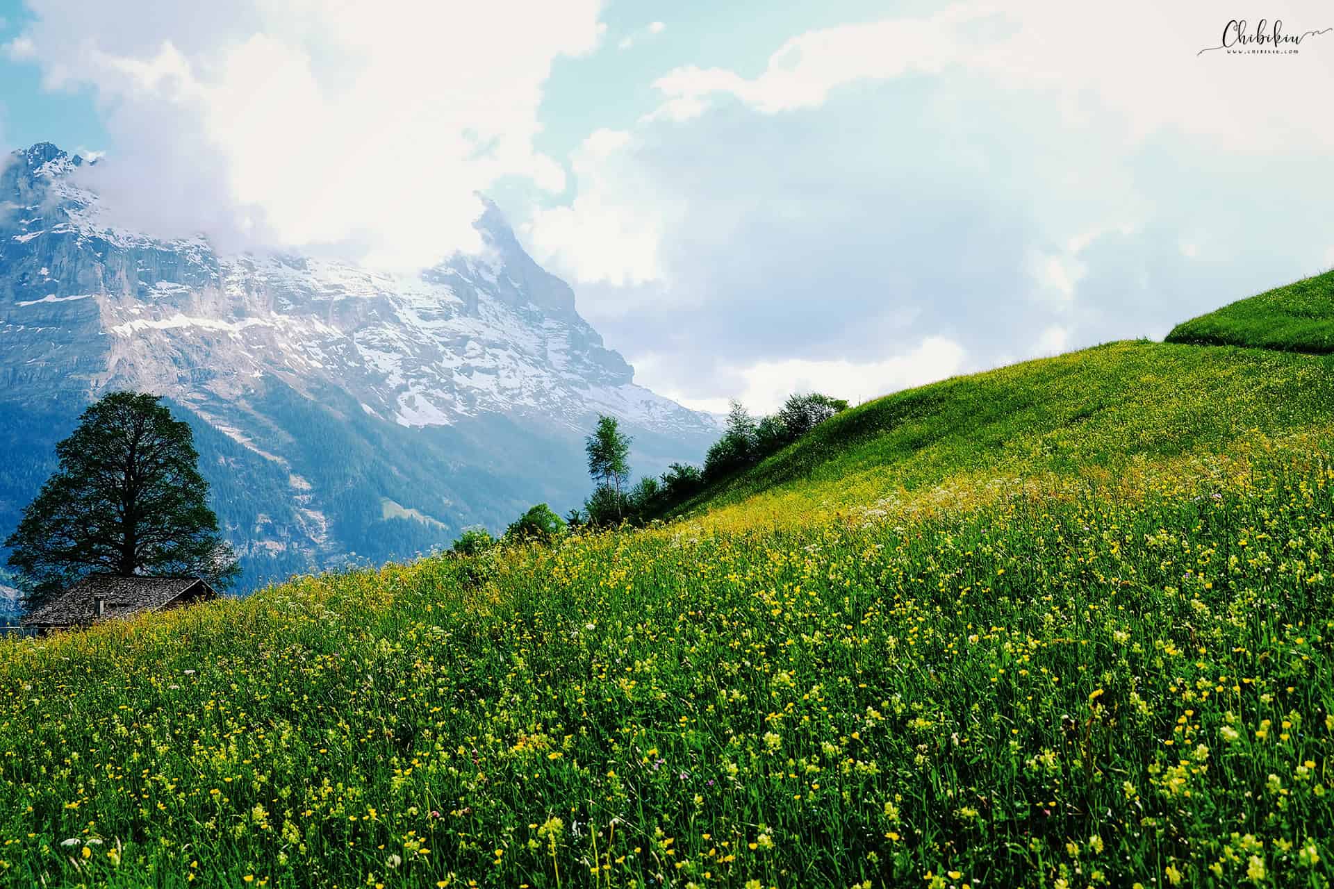 Kinh nghiệm du lịch Grindelwald - Chibikiu